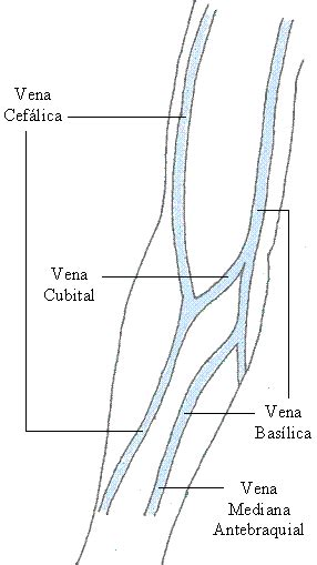 T Cnica De Administraci N Parenteral De Medicamentos La V A