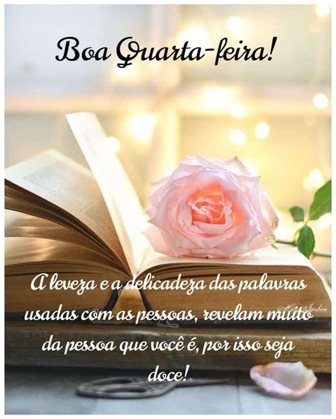 Pin de Sonia Maria Minas em Livros Feliz quarta feira Dia dos avós