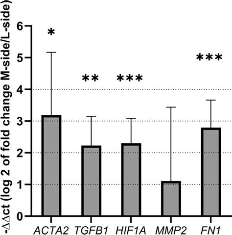 The Fold Change In The Relative MRNA Expression Of Selected Genes