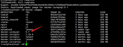 docker安装mysql并远程访问实战 docker mysql 连接 查询用户 csdn博客