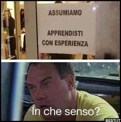 1 Fantastiche Immagini Su Foto Divertenti Senso Nel 2024 BESTI It