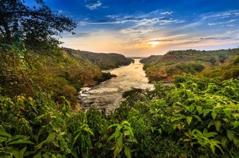 3 Day Murchison Falls Safari From Kampala Book At Civitatis