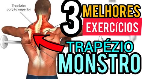 TREINO TRAPÉZIO AS 3 MELHORES VARIAÇÕES EXERCÍCIOS CRESCER RÁPIDO