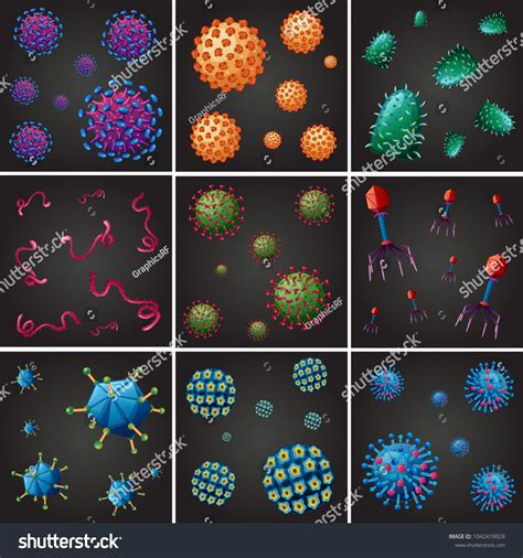 Different Types Viruses Illustration เวกเตอรสตอก ปลอดคาลขสทธ