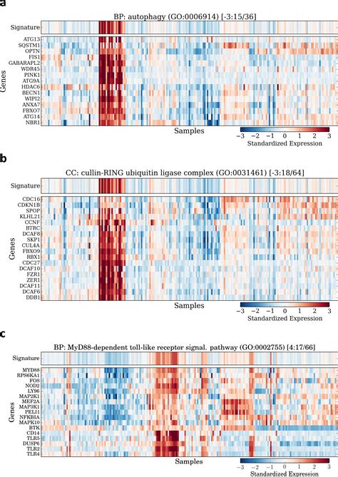 GO PCA An Unsupervised Method To Explore Gene Expression Data Using