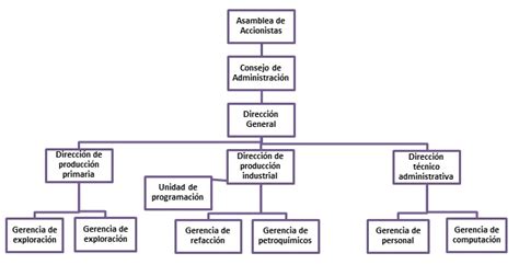 Organización y Métodos CAPITULO 5 ORGANIGRAMAS