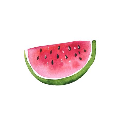 Watercolor Fruit Slice Of Watermelon 12066995 PNG