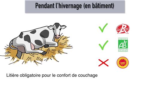Les exigences des labels et étiquettes en matière de bien être animal