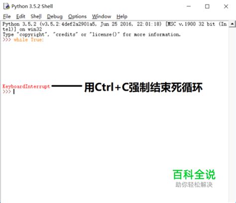 如何终止python程序运行 【百科全说】