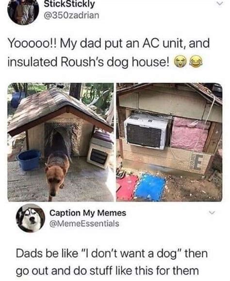 Wholesome Meme Subido Por YourOtherLeft Memedroid