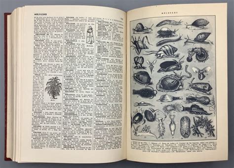 BIBLIO DICCIONARIO ENCICLOPÉDICO ILUSTRADO DE LA LENGUA ESPAÑOLA 3