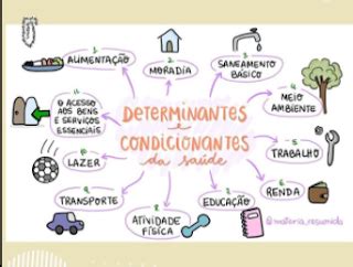 Psicóloga Clínica Mapa Mental Determinantes Sociais em Saúde x