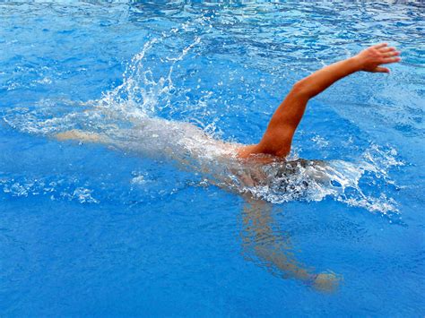 Swimming Free Stock Photo A Man Swimming In A Pool