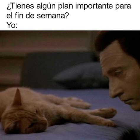 20 Ingeniosos memes sobre el fin de semana que te alegrarán el día