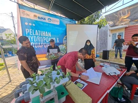 Urban Farming Dan Pengelolaan Sampah Organik Solusi Untuk Meningkatkan