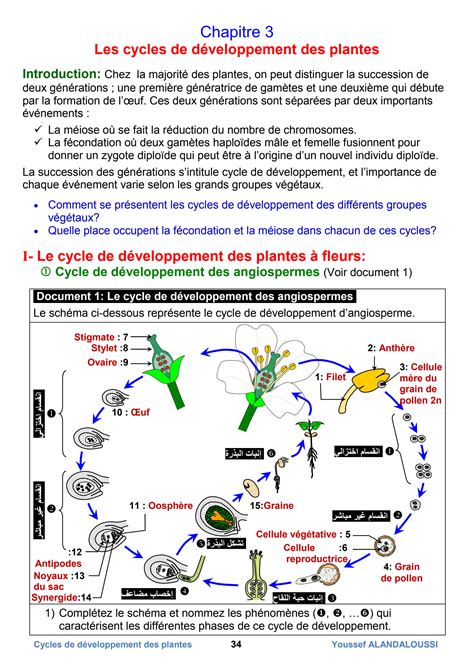 Solution Les Cycles De Developpement Des Plantes Cours Studypool