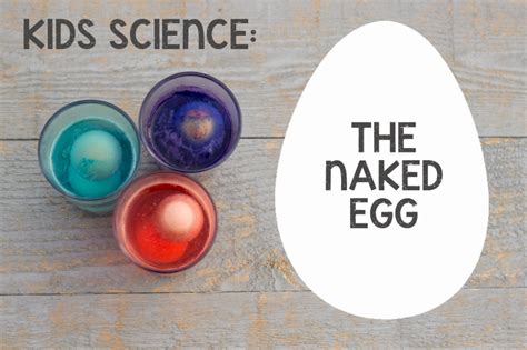 This Egg Experiment In Vinegar Will Blow Your Mind