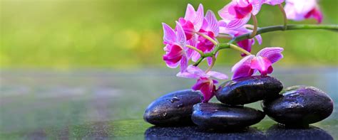 Pedras Pretas Dos Termas E Orquídeas Cor de rosa Fundo Do Wellness Foto