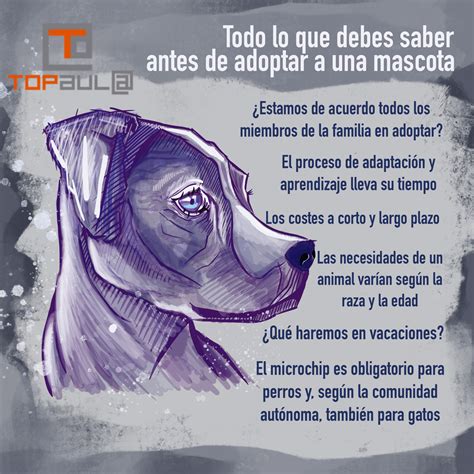 Clancy Descanso Mojado Cosas A Tener En Cuenta Al Adoptar Un Perro