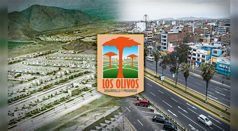 Los Olivos por qué se llama así este distrito de Lima Norte y cuál es