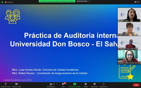 El Sistema De Aseguramiento Interno De La Calidad Instrumento