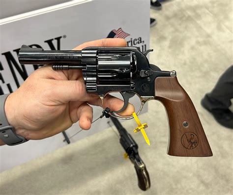 Henry S All New Big Boy Revolver