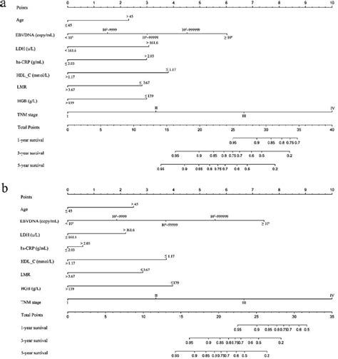 nomogram model predicting 1 3 and 5 year os in npc patients the download scientific diagram