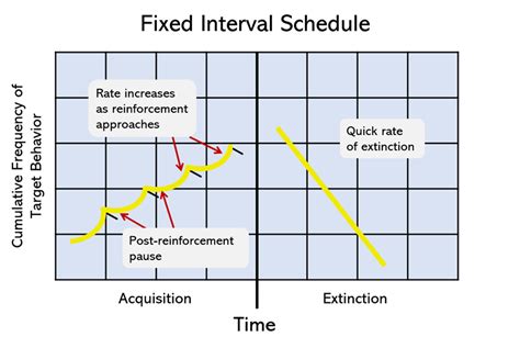 Fixed Interval Schedule Examples