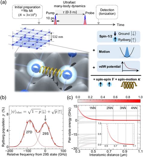 figure 1 from strong spin motion coupling in the ultrafast quantum many body dynamics of rydberg