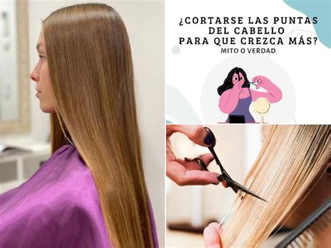 Descubriendo Cu Nto Crece El Cabello Cada A O Hair Topel G