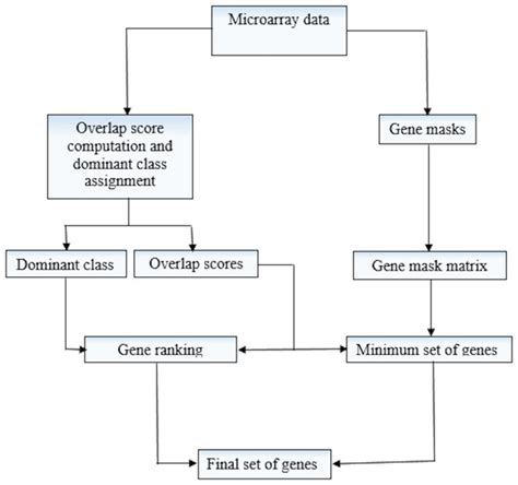 robust proportional overlapping analysis for feature selection in binary classification within