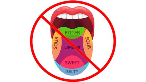 Diagram Of The Tongue And Taste Buds Dudley Nader