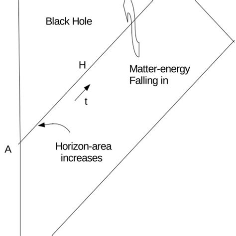 Penrose Diagram Of A Black Hole Space Time The Response Of A Black
