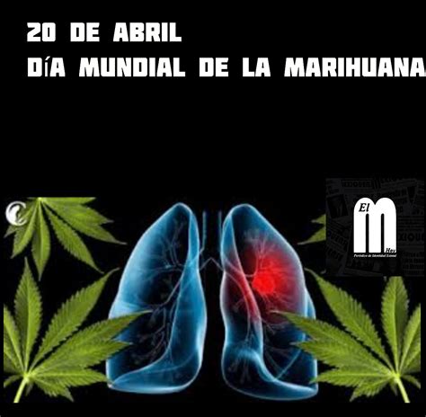El mexiquense Hoy 20 de abril Día Mundial de la Marihuana