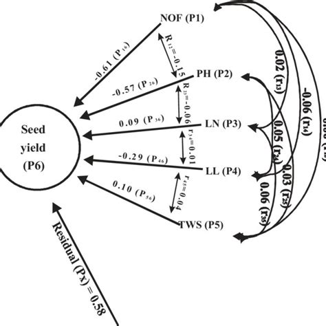 path diagram indicating direct effects and correlation coefficients download scientific