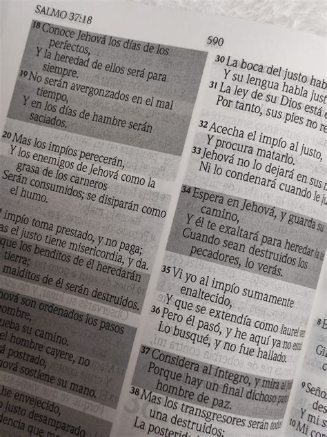 Biblia de Promesas Letra Gigante Rustica Marrón Librería Cristiana