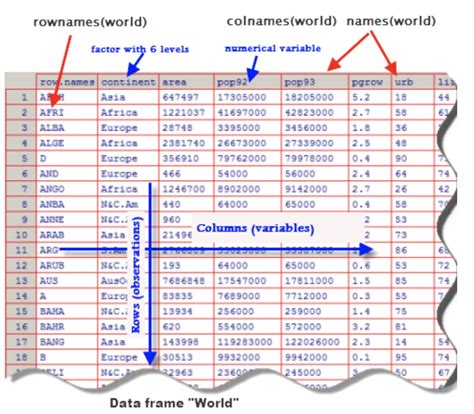 R Data Types Structures DataCamp
