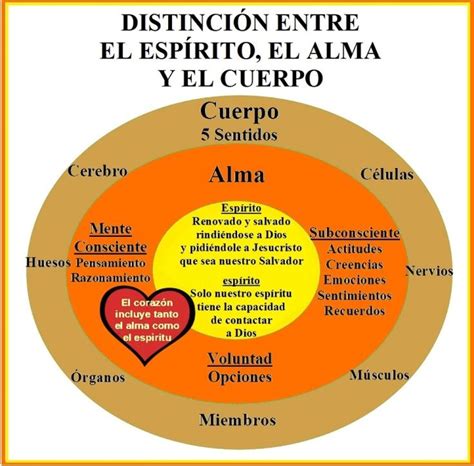 DISTINCIÓN ENTRE EL ESPÍRITU EL ALMA Y EL CUERPO 1 Tesalonicenses 5
