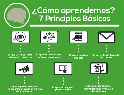Cómo aprendemos 7 principios básicos para crear eLearning efectivo