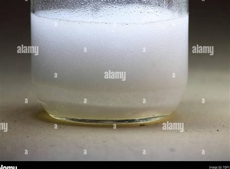 Experimento Del Volcán De Vinagre Y Bicarbonato Reacción Química