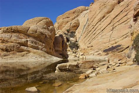 Calico Tanks Trail Red Rock Canyon Hikespeak