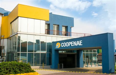 Consejos Para Fomentar La Educaci N Financiera En La Ni Ez