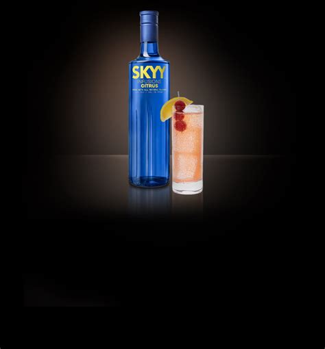 Skyy Vodka Recipes Dandk Organizer