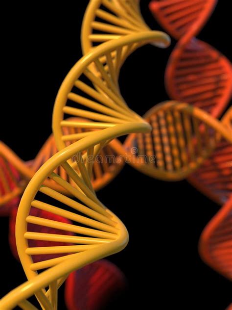 DNA Genetic Molecule Spiral Structure Stock Illustration Illustration