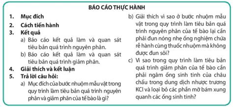 L Thuy T Sinh B I Th C H Nh L M V Quan S T Ti U B N Qu Tr Nh