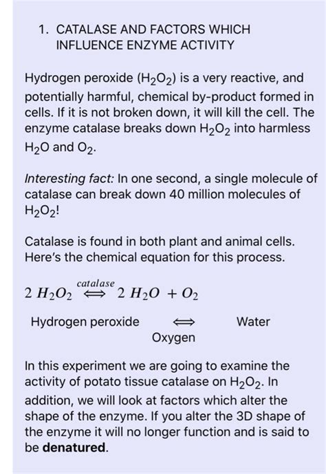 Catalase Hydrogen Peroxide Chemical Equation Tessshebaylo