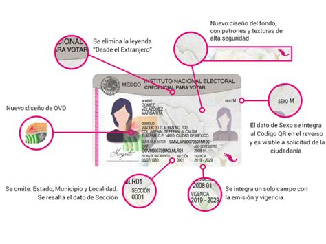 Identificación y Seguridad en tu Credencial del INE node title