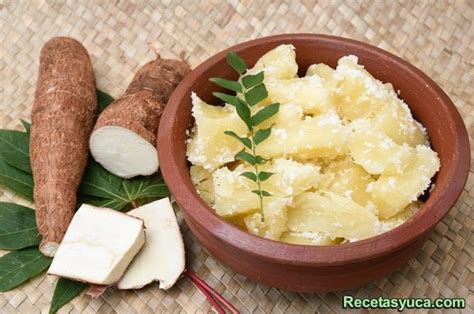 Las Mejores Recetas Con Yuca Origen Y Beneficios