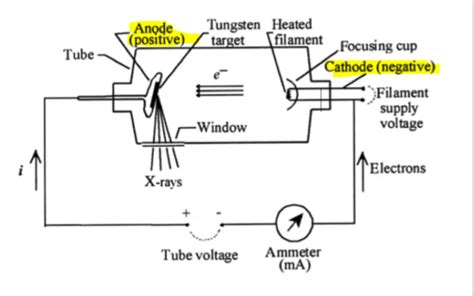 Exam The X Ray Tube Flashcards Quizlet