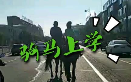 骑马上学内蒙人真的骑马上学吗车马同行实拍视频快来看热乎的 哔哩哔哩 bilibili
